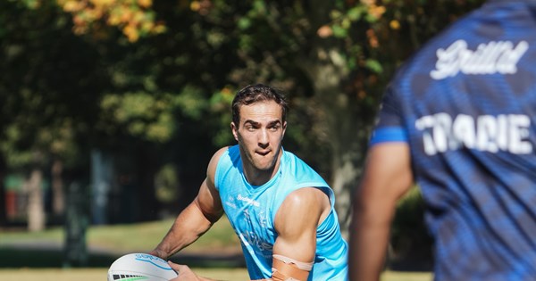 Feeder Report: Round 10 and Round 12 | Storm